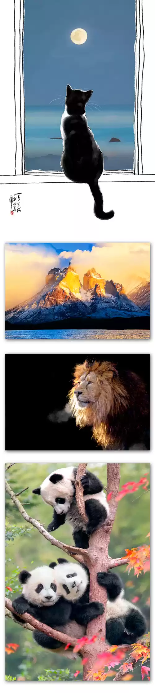 Craft In Focus - Cheng Yan – Artist and Photographer