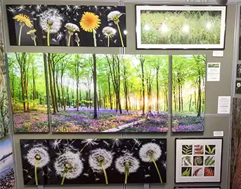 Andy Small Photography