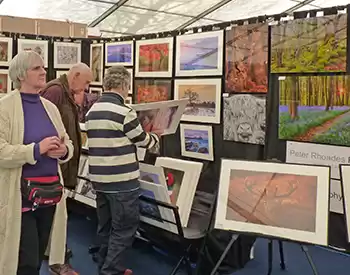 Peter Rhoades Photography