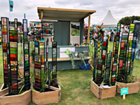 D00X01 Hayhoe Designs Ltd